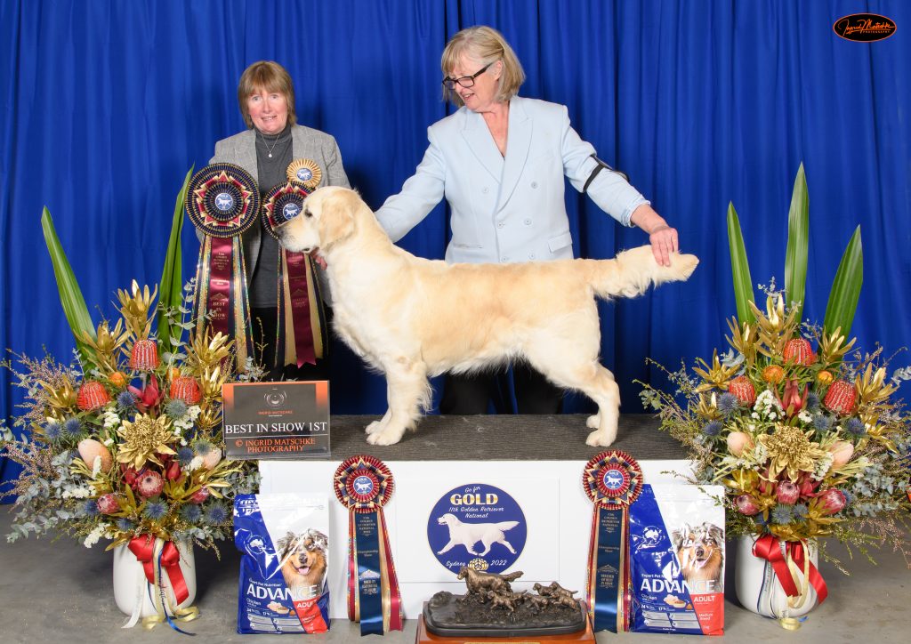 22-25 August 2022 11th National Golden Retriever Championship show ...